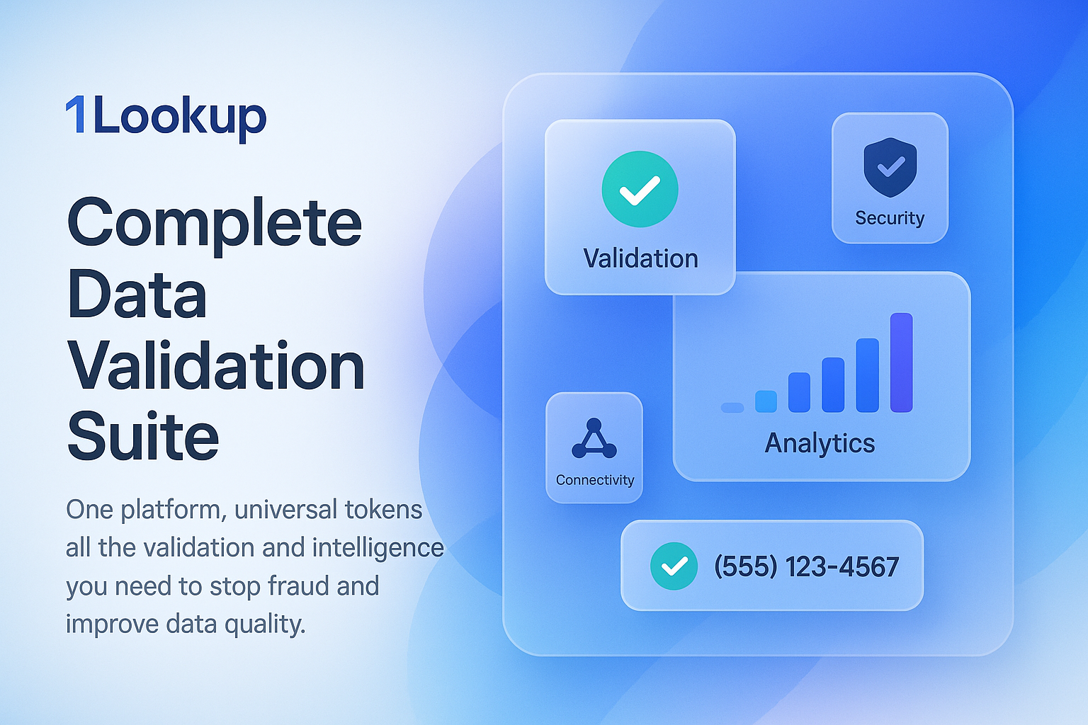 Complete Data Validation Suite | 1Lookup